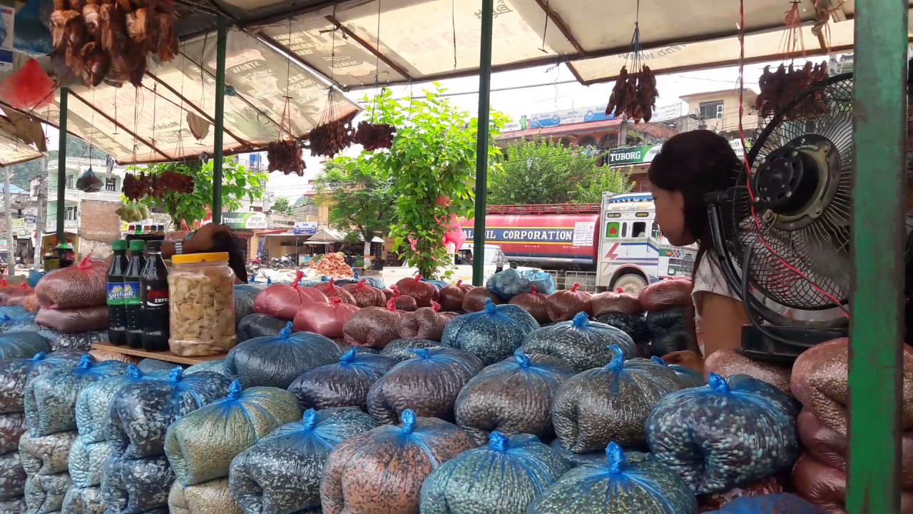 Malekhu ko Maachha /Fish - YouTube