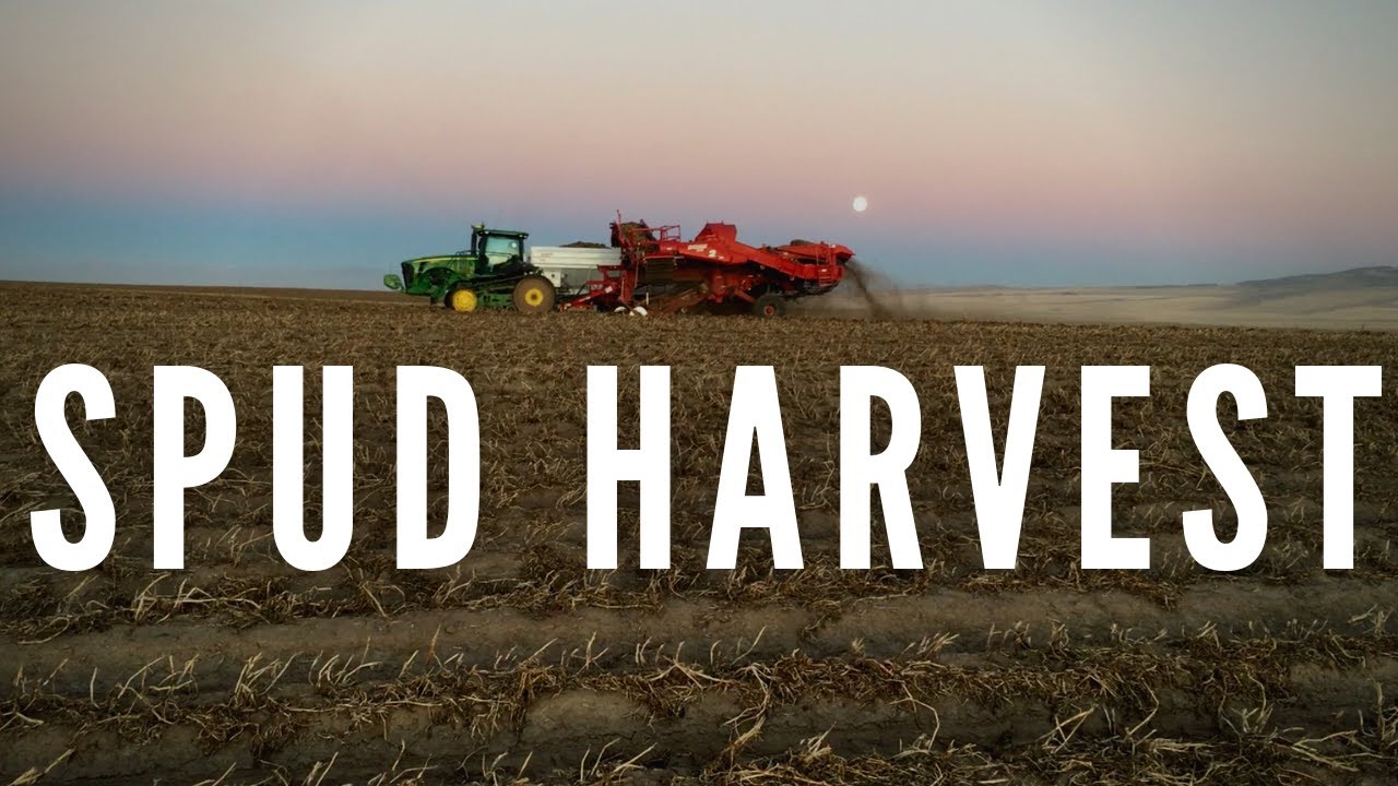 SPUD HARVEST | Outdoor Idaho - YouTube