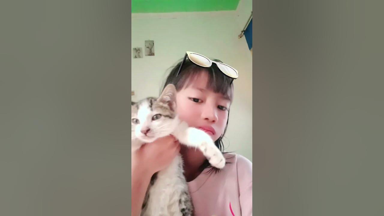 Siapa nih nama kucing kesayangan kalian - YouTube