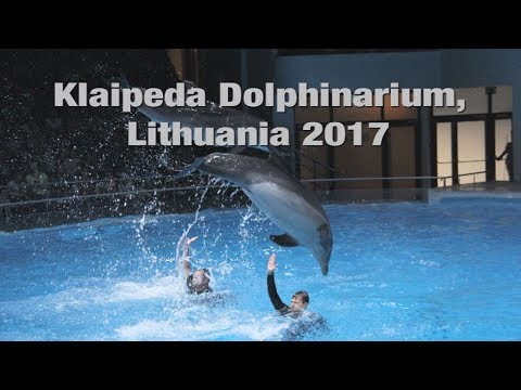 Klaipeda Dolphinarium, Lithuania. Klaipēdas Delfinārijs 2017