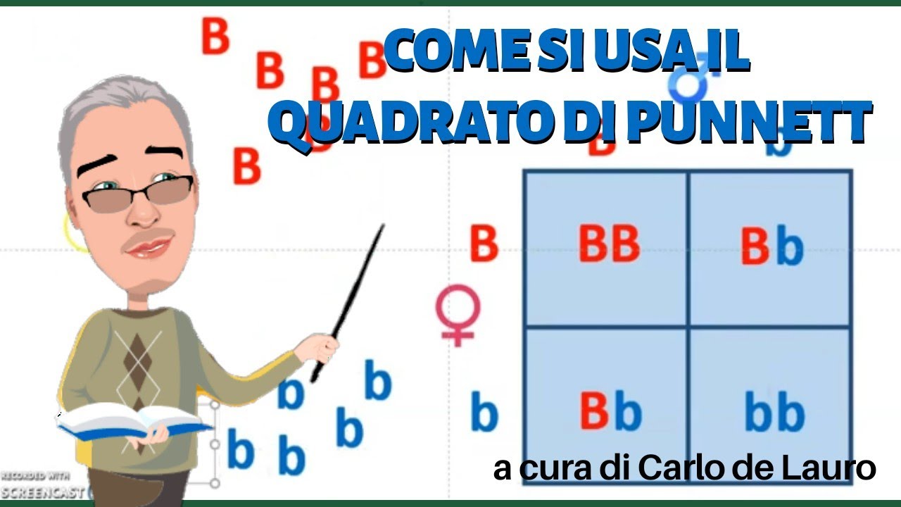 Come si usa il quadrato di Punnett - YouTube