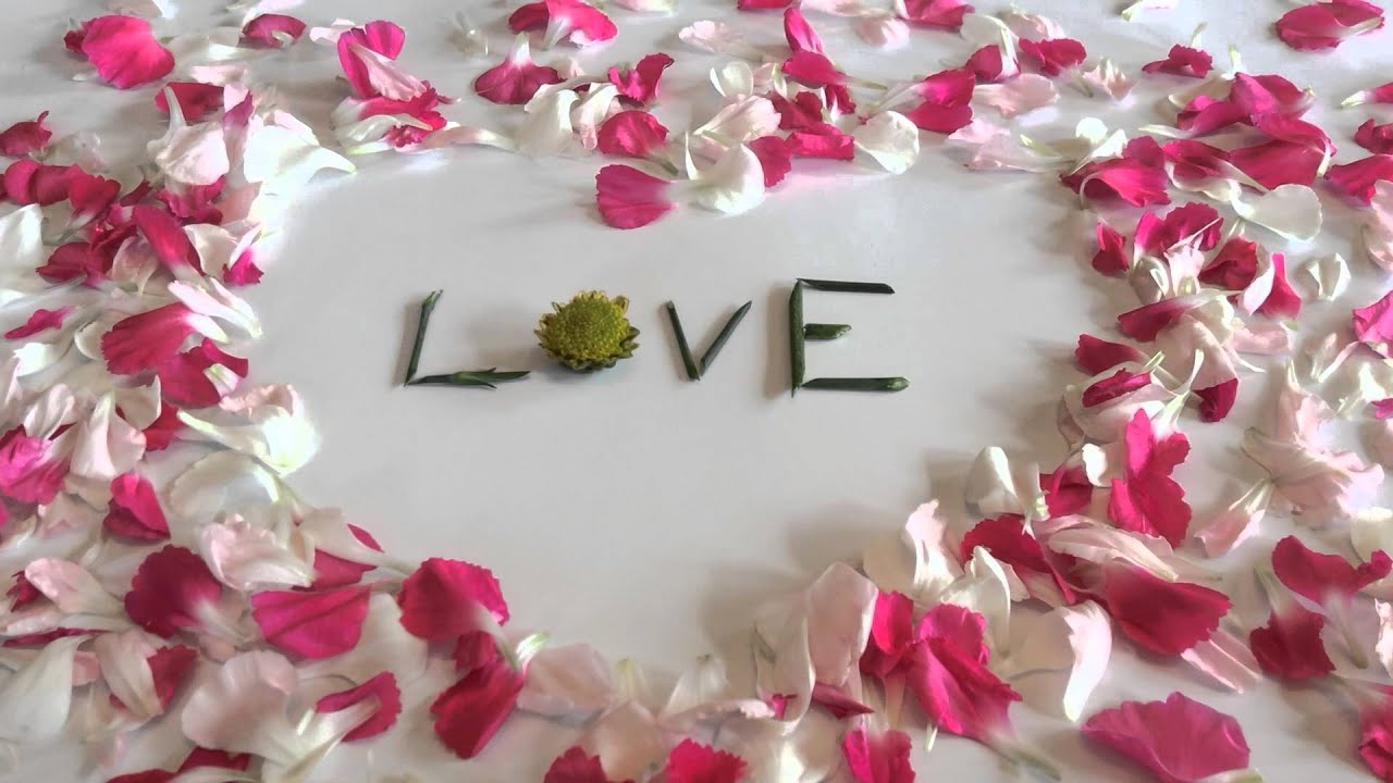 Cheerful Flowers! - Stop Motion Animation - YouTube