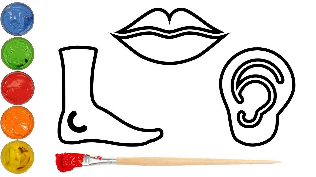 Color and Learn BODY PARTS | Drawing, Painting & Coloring for Kids ...