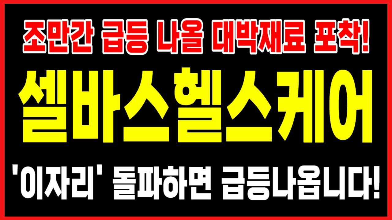 셀바스헬스케어 셀바스헬스케어주가전망 Ai심장초음파미국fda승인 셀바스ai 셀바스ai주가전망 셀바스헬스케어목표가