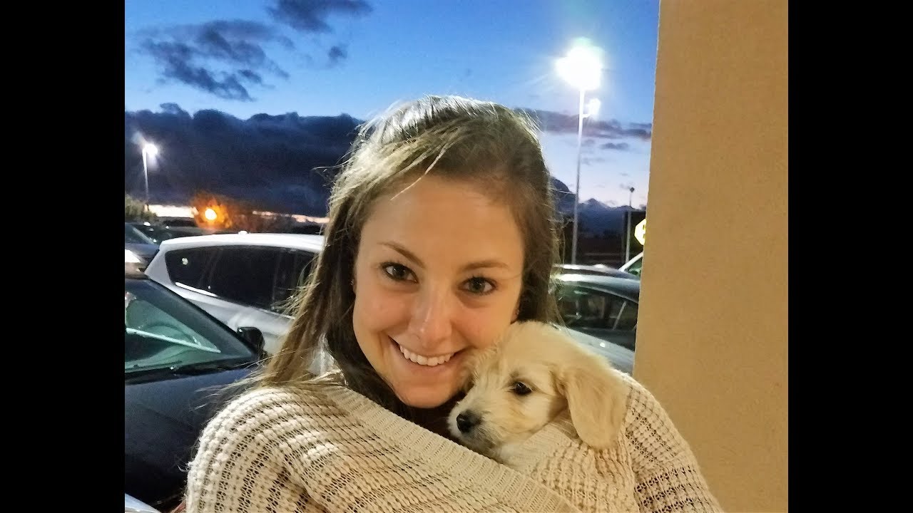 Boyfriend Surprises Girlfriend with Puppy! - YouTube