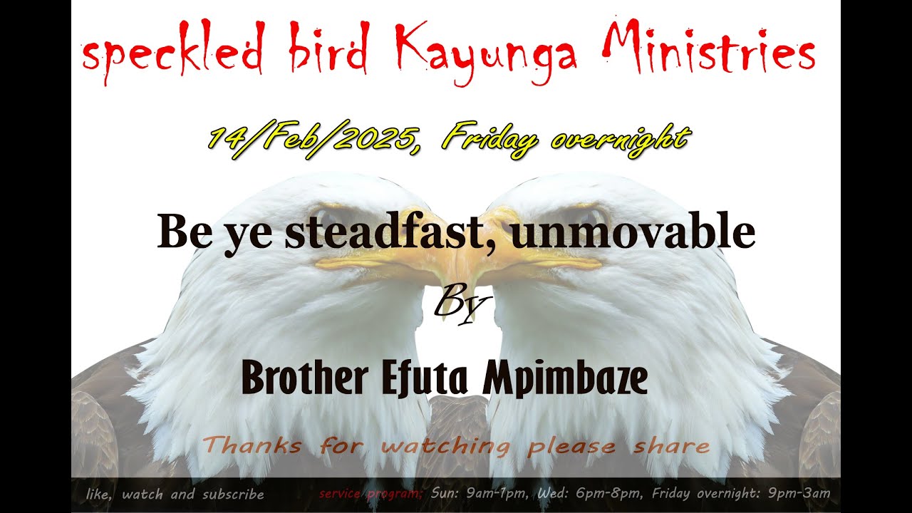 14/February/2024, Friday overnight, Be ye steadfast, unmovable ...