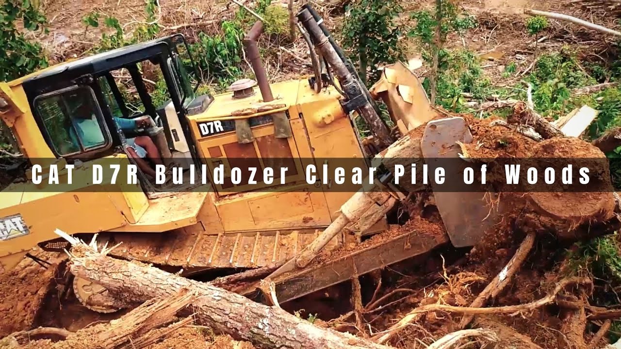 Dozer Working in the woods - YouTube