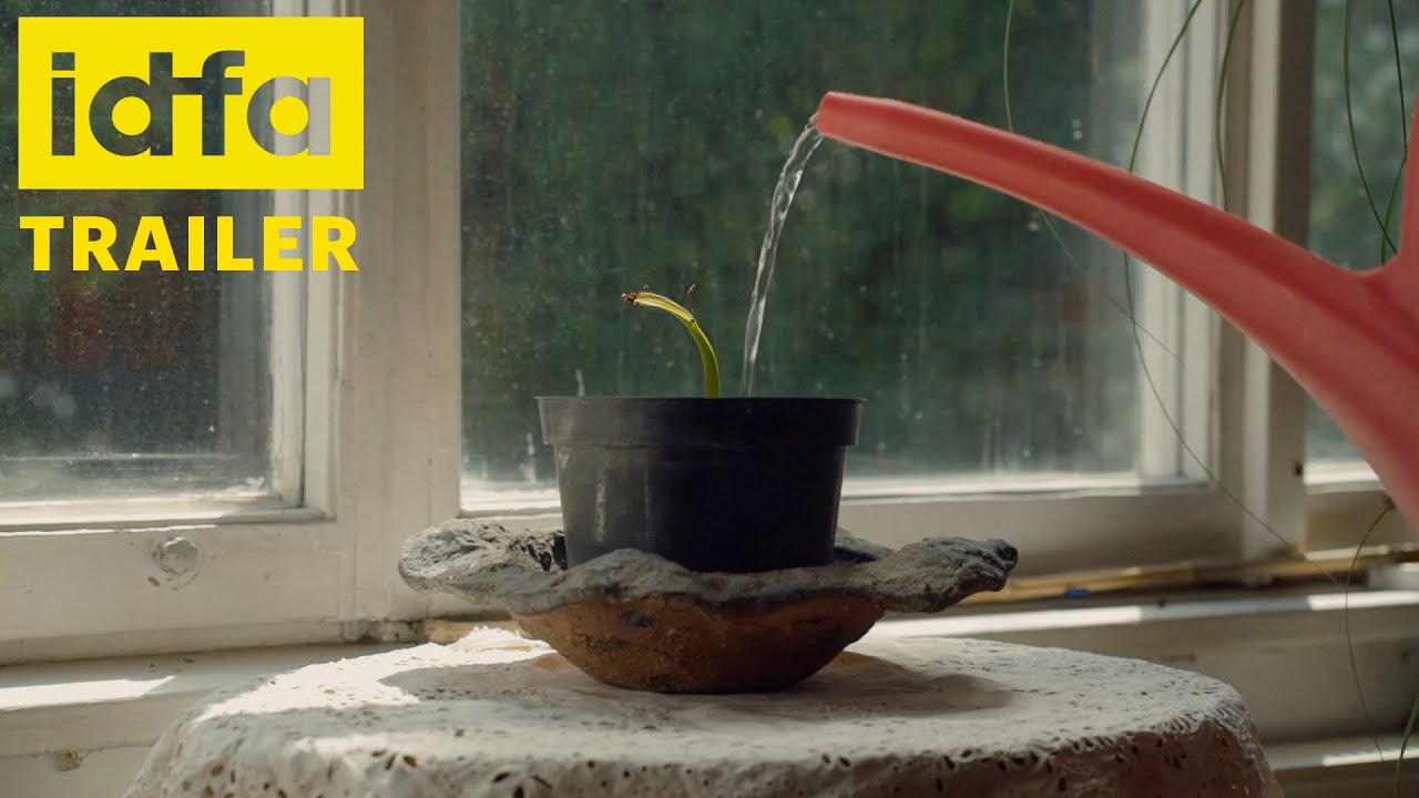 IDFA 2022 | Trailer | The Silence of The Banana Trees - YouTube