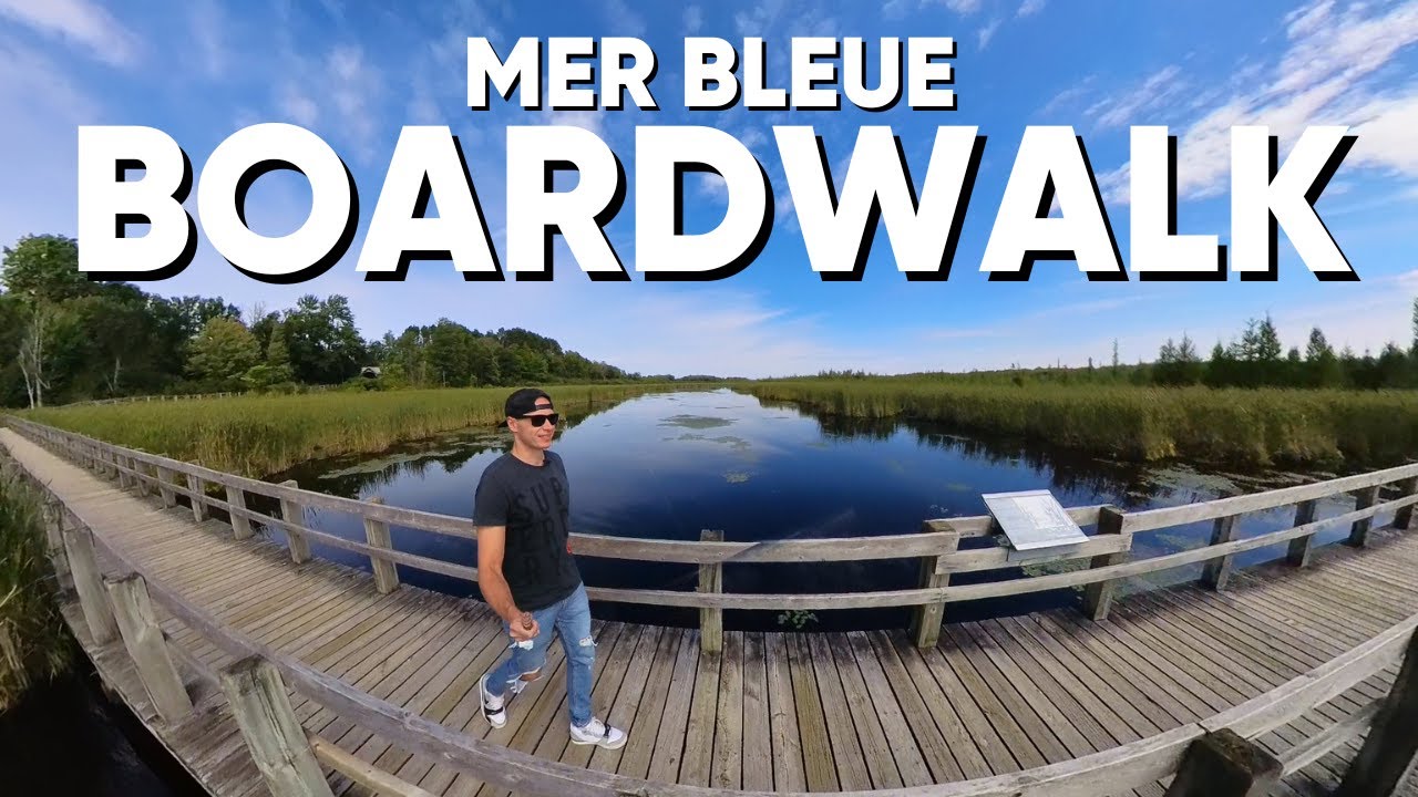 Walk this amazing BOARDWALK - Mer Blue Bog Conservation Area - Ottawa ...