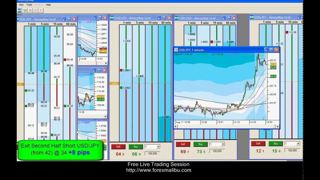 Daily Live Trading Session -- Aug 11, 2010 - YouTube