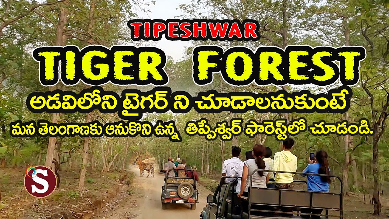 Tipeshwar Tiger Forest / Maharashtra - తీపేశ్వర్ || Tour with sadan ...