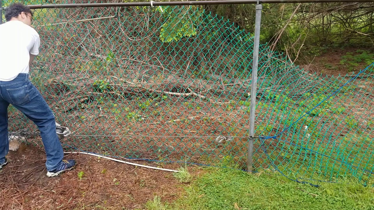 Stretching the fence at the Pichardo's - YouTube