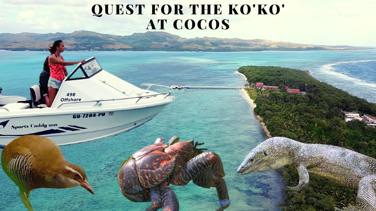 Living in Guam - Cocos Island Adventure | Monitors, Rails, and Star ...