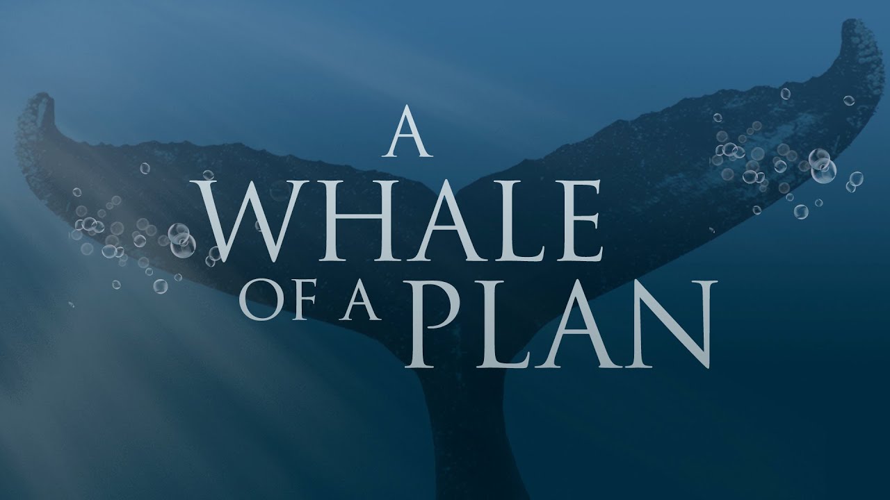 A Whale of a Plan - YouTube