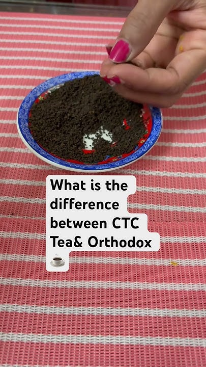 CTC tea VS Orthodox tea #shorts #facts - YouTube