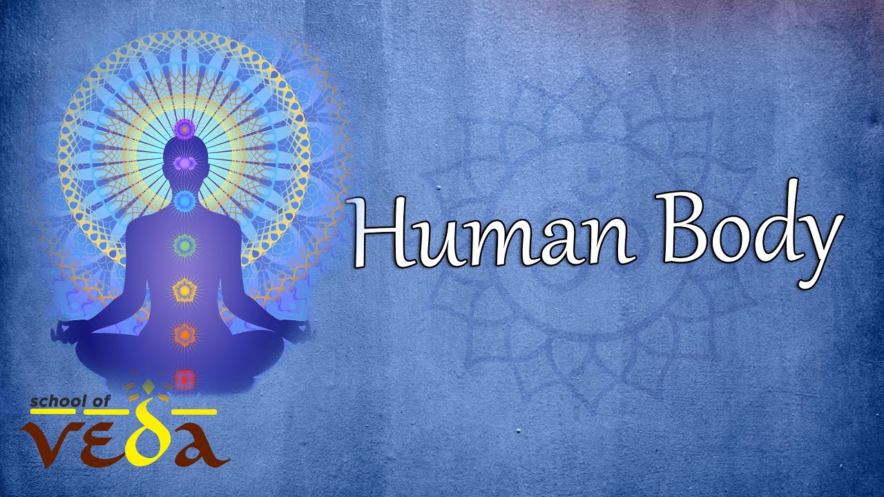 Vedas | Human Body and Ayurveda | School of Veda | Vedas Explained ...