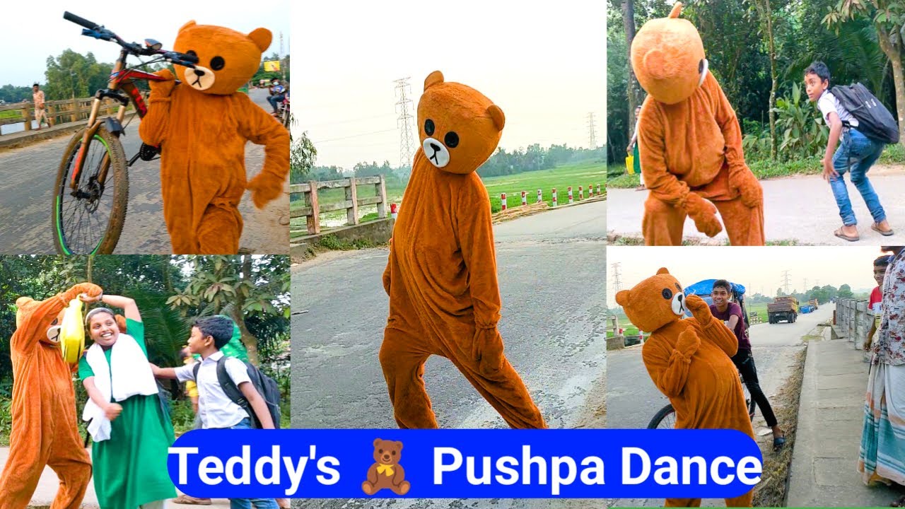 Teddy's Pushpa Dance. Teddy took a shot on the bridge. Funny Video ...