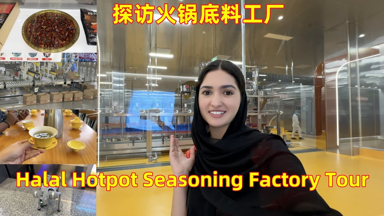 How Halal Hotpot Seasoning is Made｜Factory Tour ! ｜清真火锅底料是怎么做的？｜探访火锅底料工厂｜Mahzaib vlog (200 ...