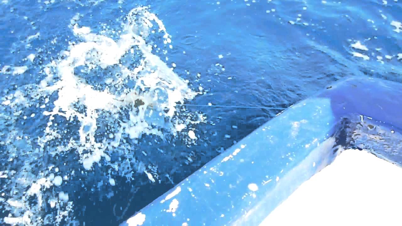 Cefalù: Pesca al Capone (Lampuga) - YouTube