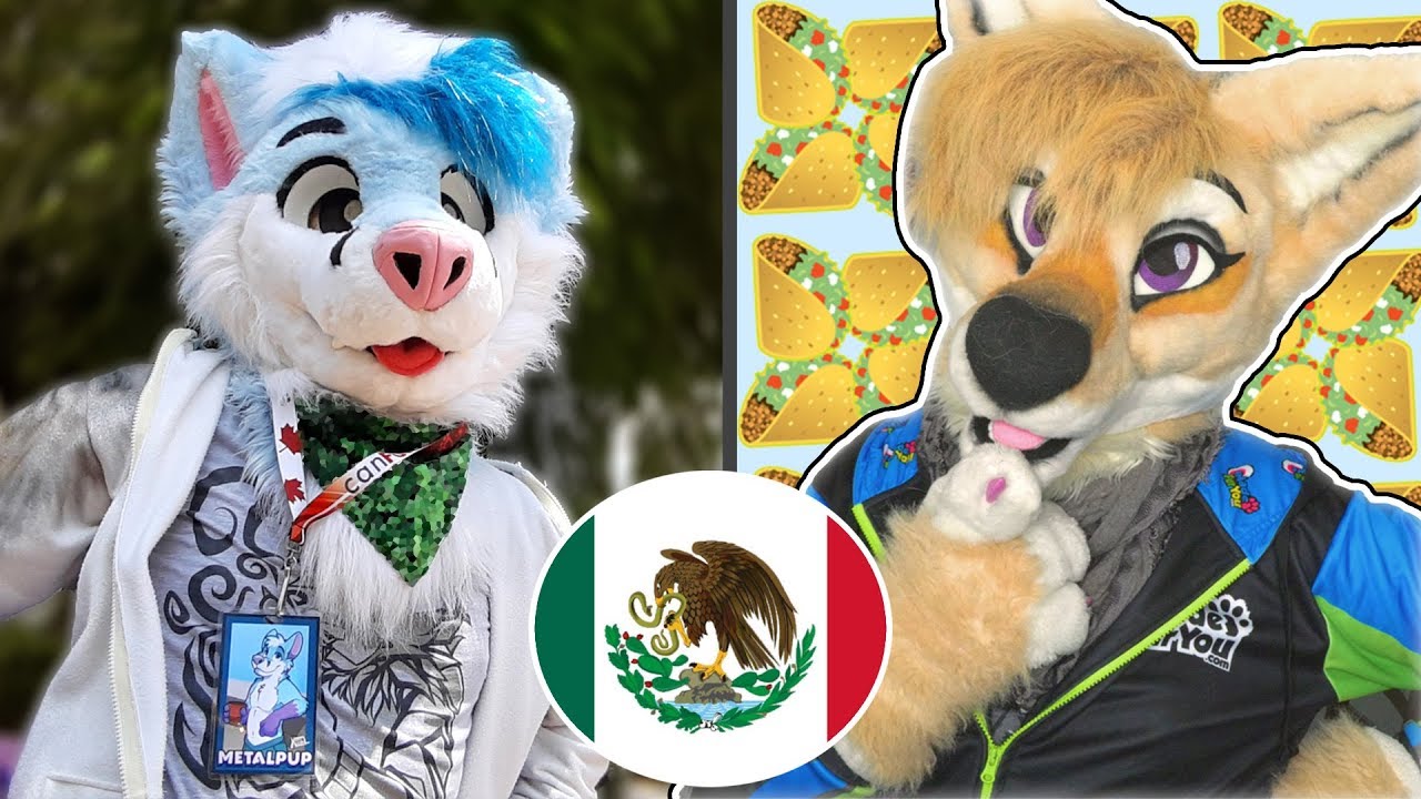 I met some AMAZING Furries from Mexico! - YouTube
