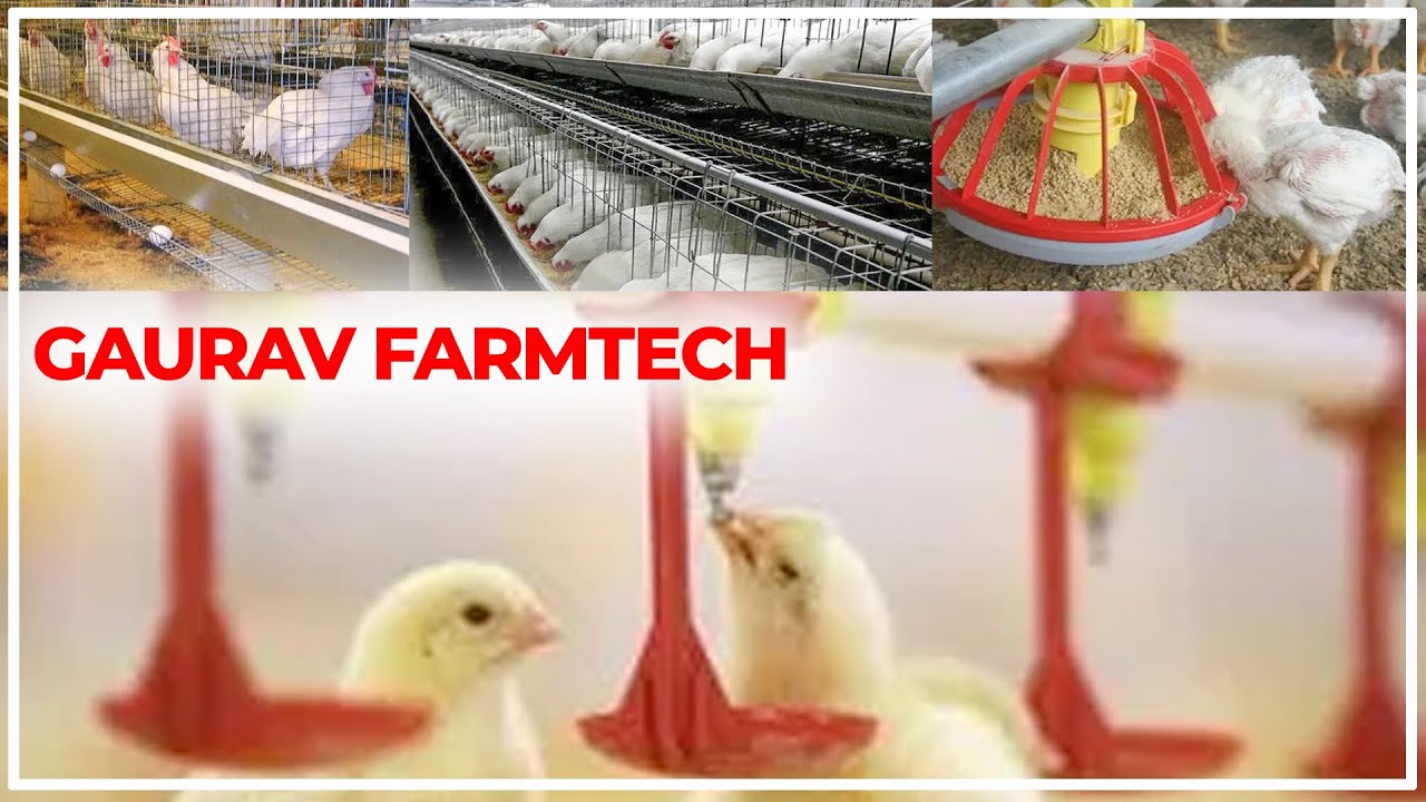 Gaurav Farmtech | Layer & Broiler Poultry Farm Equipments | India Poultry Expo 2022 - YouTube