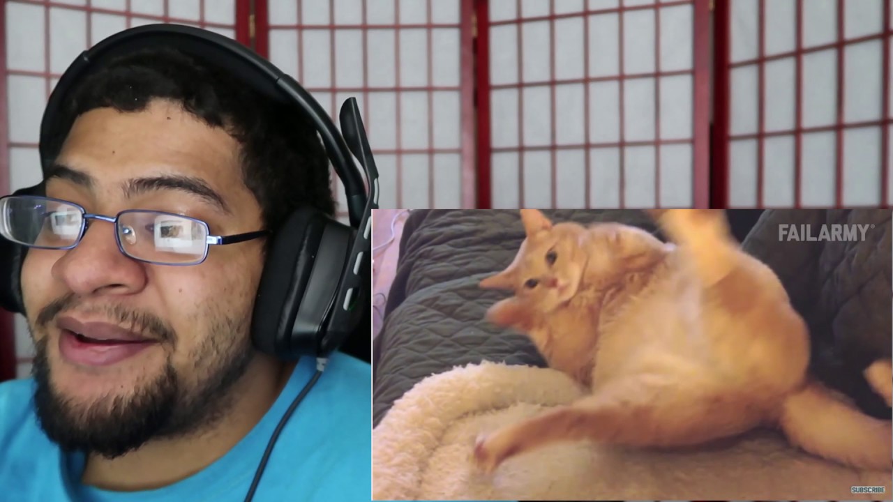 HILARIOUS Cat Fail Compilation! - YouTube