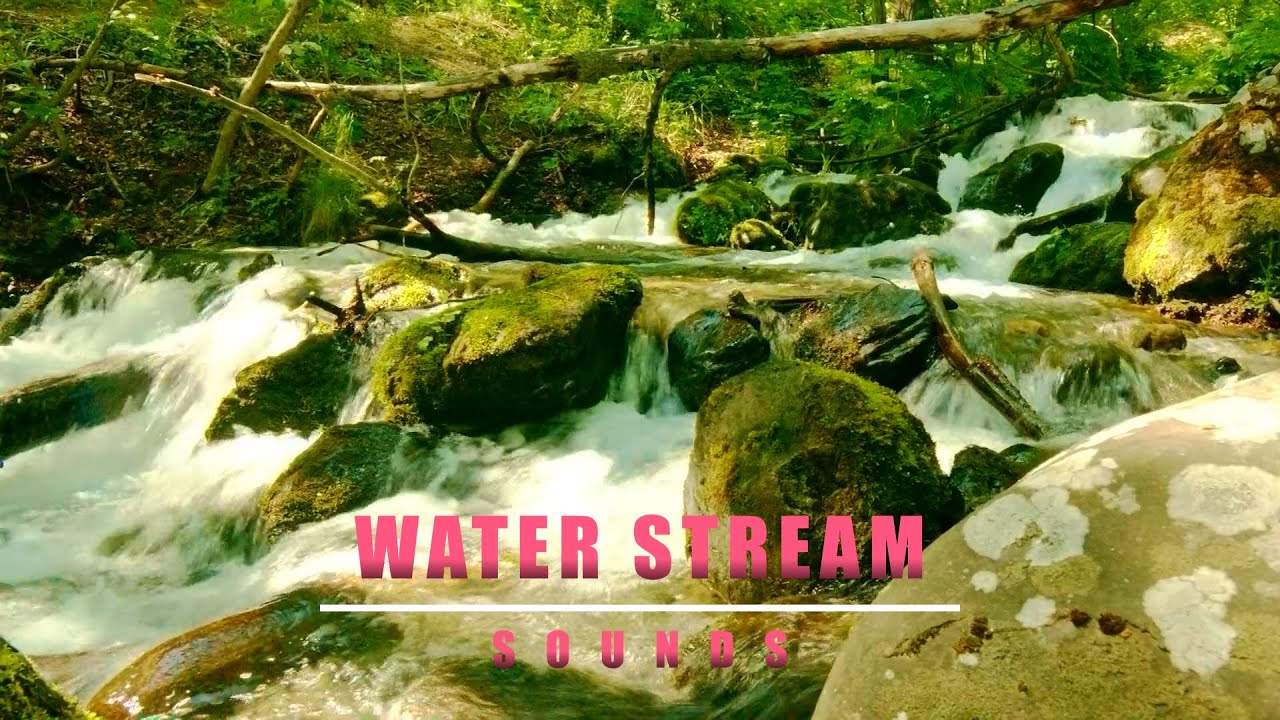 Tranquil Water Stream: Serene Sounds of Nature for Insomnia Relief and ...