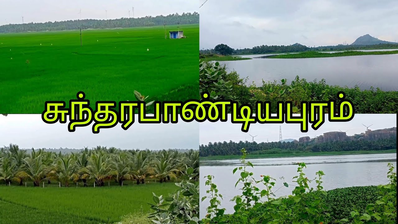 sundarapandiapuram village view point || nature place native || tenkasi ...