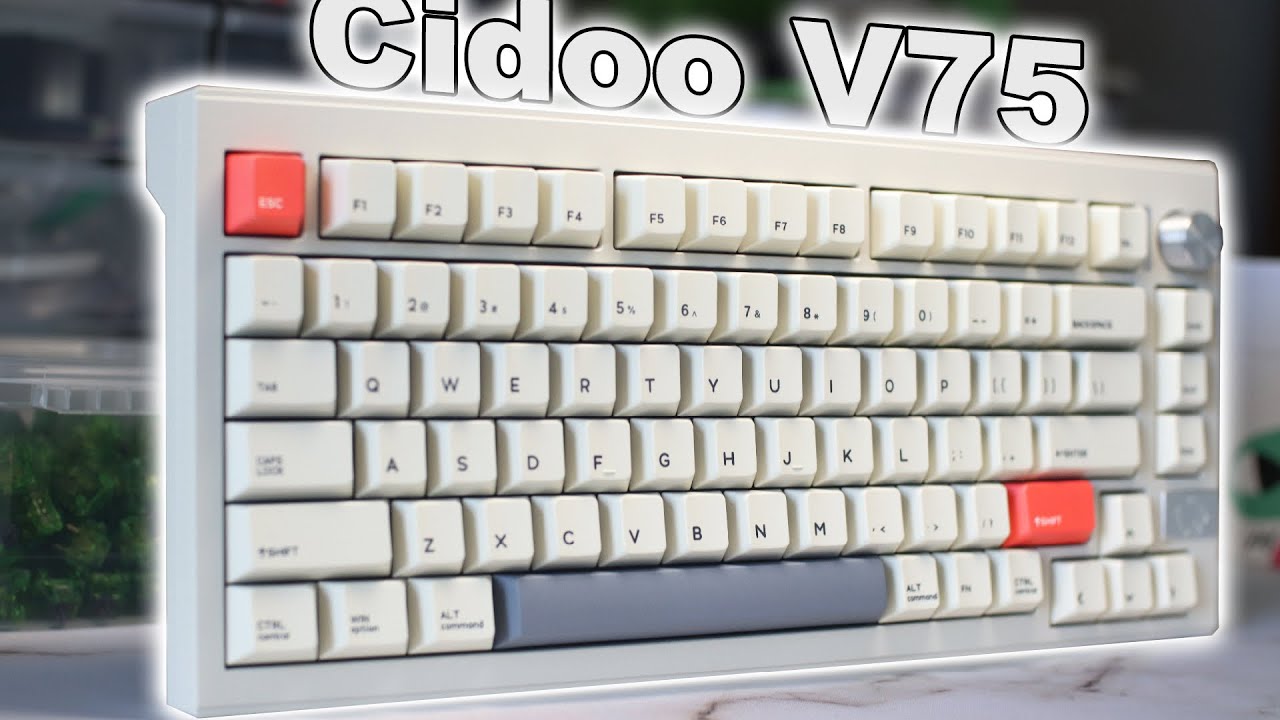 The New BUDGET KING | Cidoo V75 - YouTube