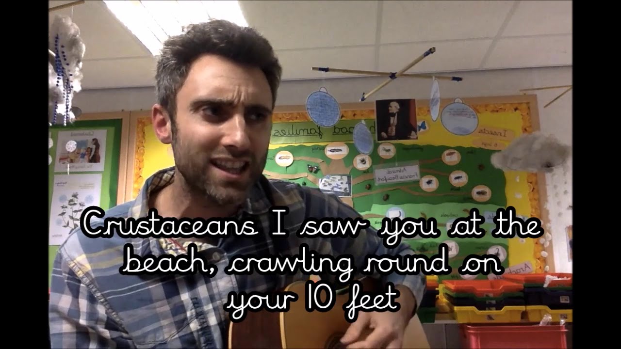 Arthropods Rap Insect song - YouTube