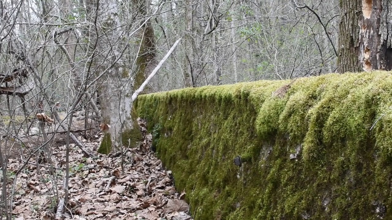 Hamlet- West Virginia- Abandoned Lumber Town- New River - YouTube