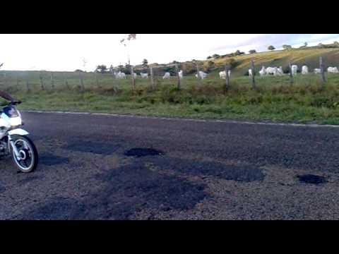 Van Rl X Bigo Rl ...