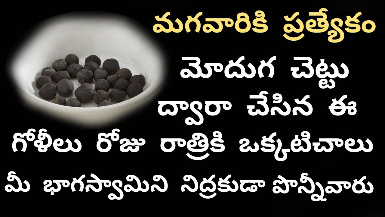 మగవారికి ప్రత్యేకం | Moduga Chettu In Telugu | Butea Monosperma ...