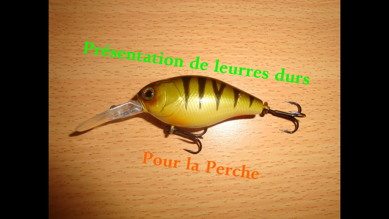 Présentation De Mes 5 Meilleurs Leurres Durs Pour La Perche Youtube