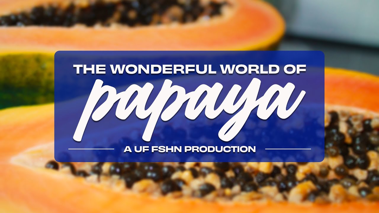 The Wonderful World of Papaya - YouTube