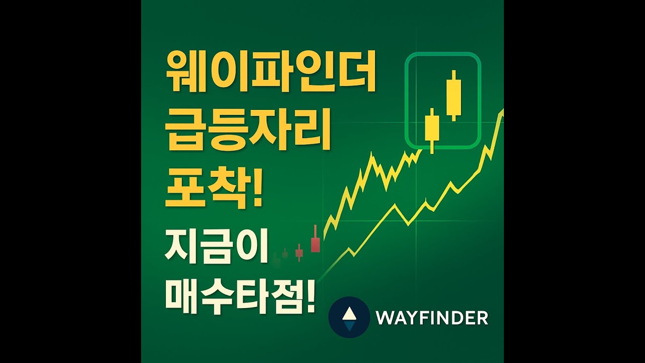 웨이파인더 지금이 매수 타점 급등자리 포착 웨이파인더 웨이파인더코인 리플 비트코인 투자 밈코인 급등주 급등