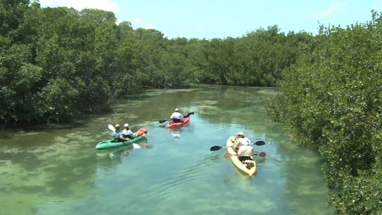 Clearly Unique Charters - What's Your Story? - YouTube