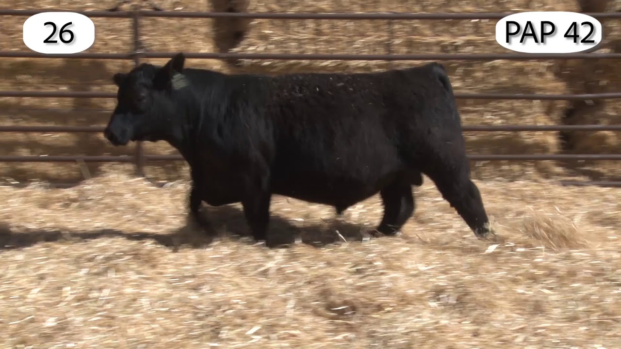 26 Ben Spitzer's conflicted copy 2019 03 16 - YouTube