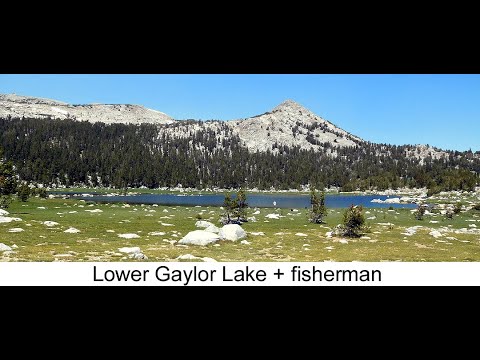 Andy: Lower Gaylor Lake/Yosemite N. P. - YouTube