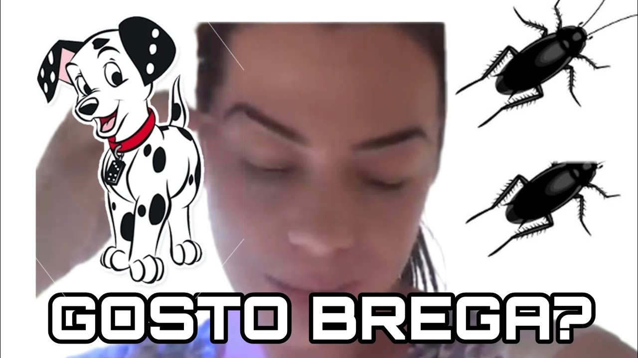 SEGREDOS DA MA/ MAIS UM CAPÍTULO DA REFORMA DO MOTHOR HOME - YouTube