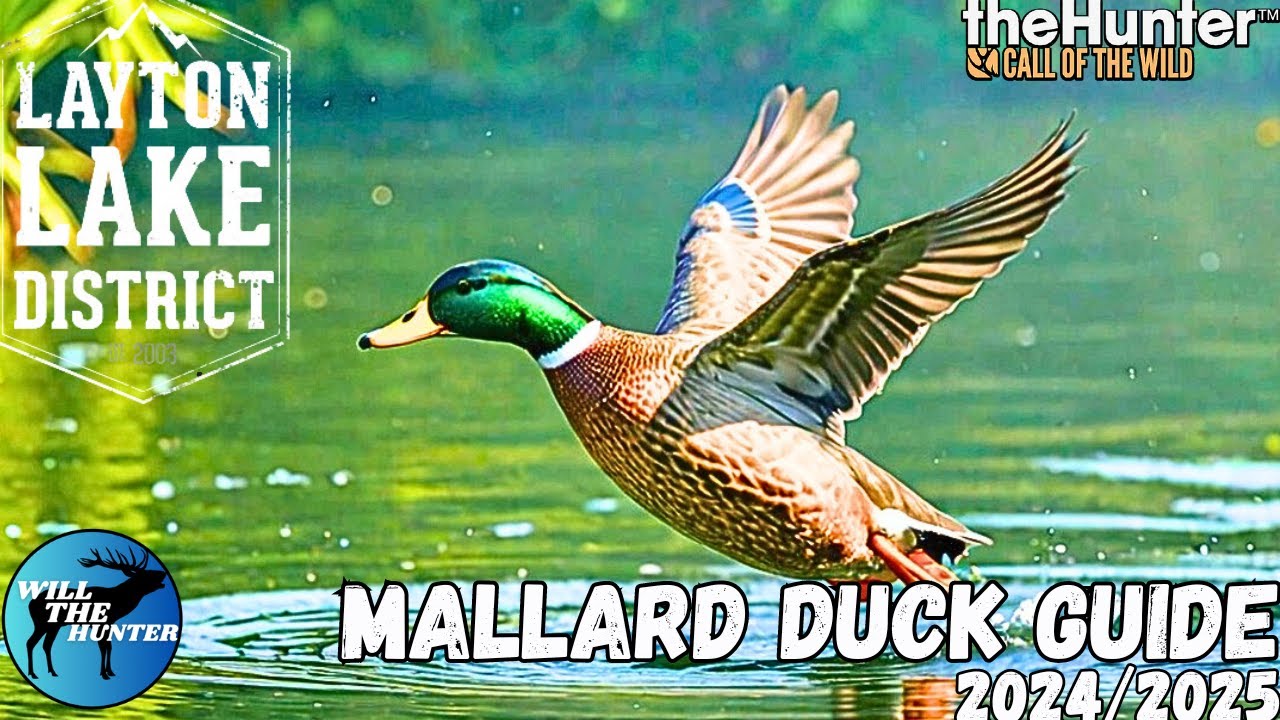 Layton Lakes Mallard Duck Guide, Zone Locations, best Guns + More | TheHunter Call Of The Wild ...