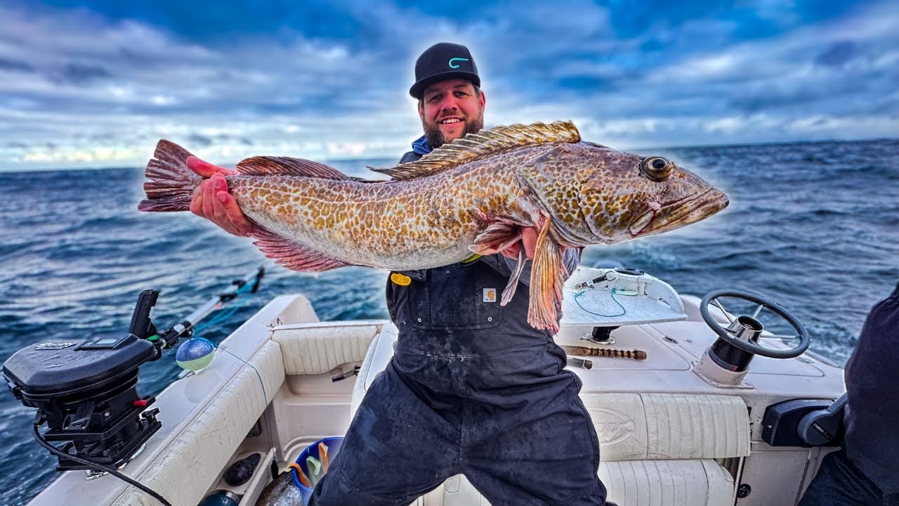 How to Catch Lingcod in Winter Harbour, Deep Water Jigging Tactics ...