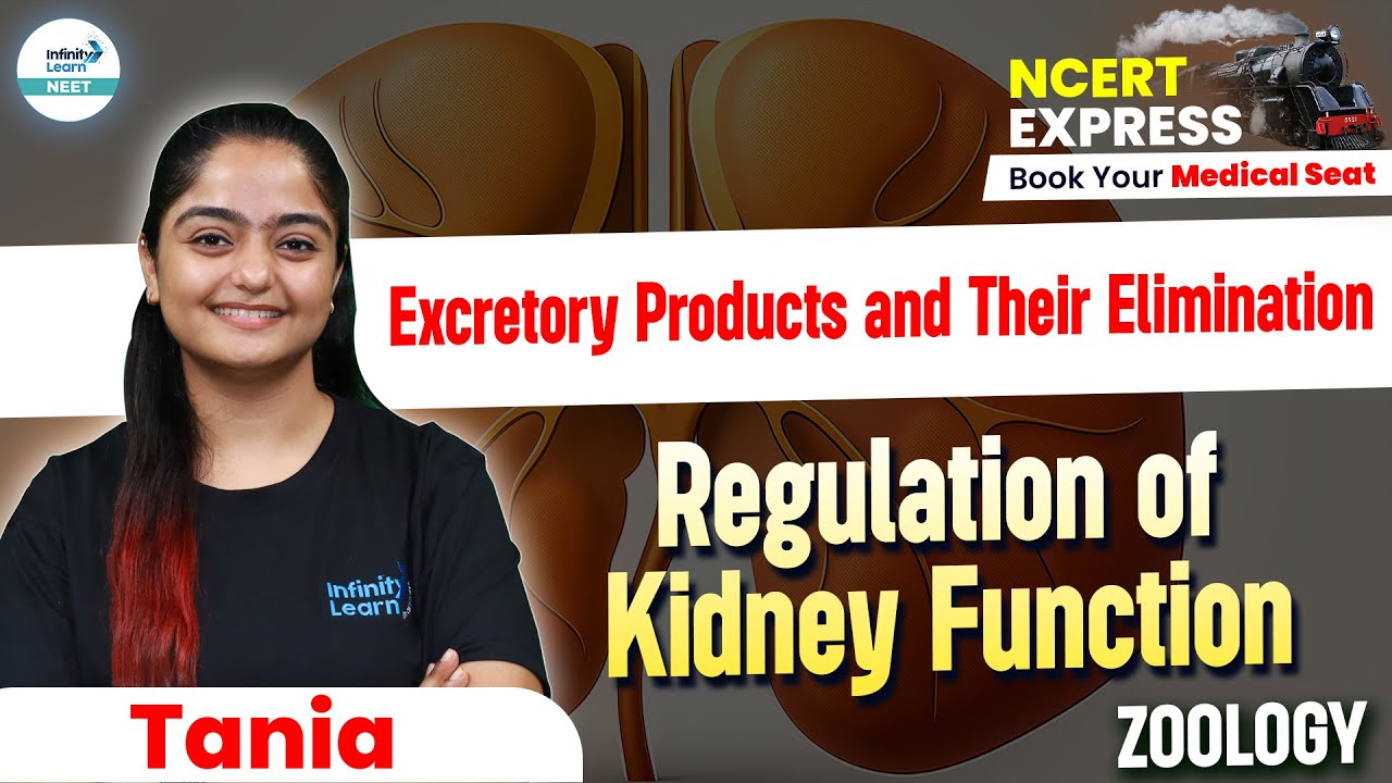 Regulation of Kidney Function: Excretory Products & Their Elimination ...