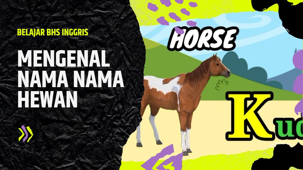 Mengenal nama nama hewan dalam bahasa inggris, kuda, kambing, sapi ...