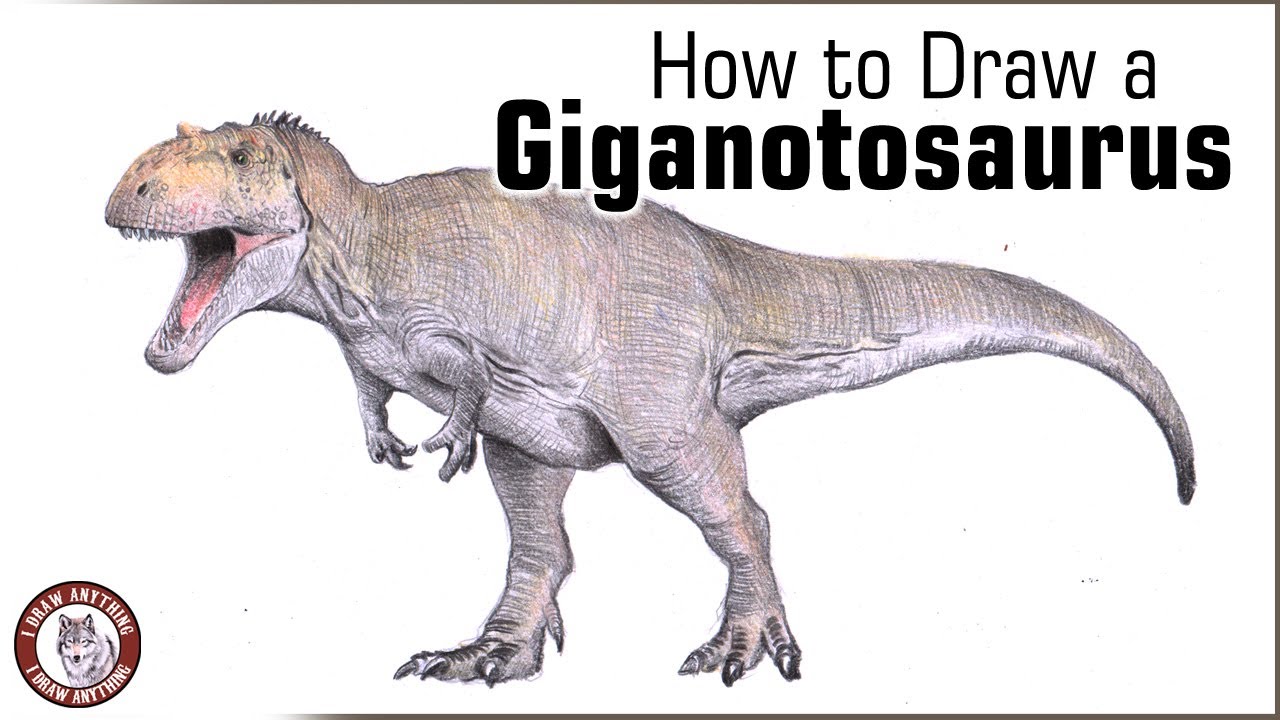 How to Draw a Giganotosaurus - Colored Pencil Drawing - YouTube