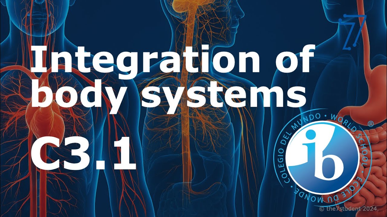 2025 IB Biology – C3.1 Integration of Body Systems - YouTube