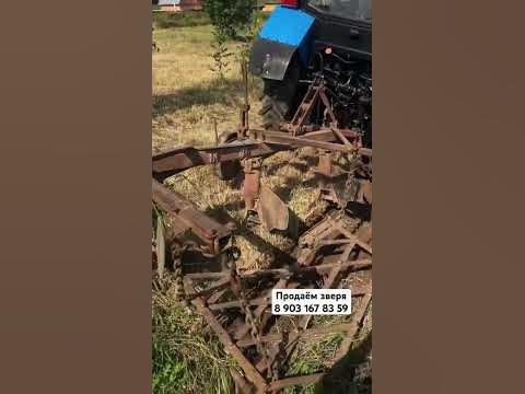 #трактор #mtz #мтз82 #трактористы #комбайнеры #поддержка - YouTube