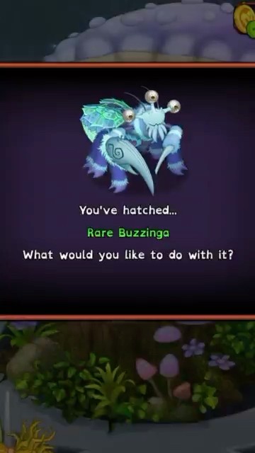 Hatching Rare Buzzinga on Mythical Island! - YouTube