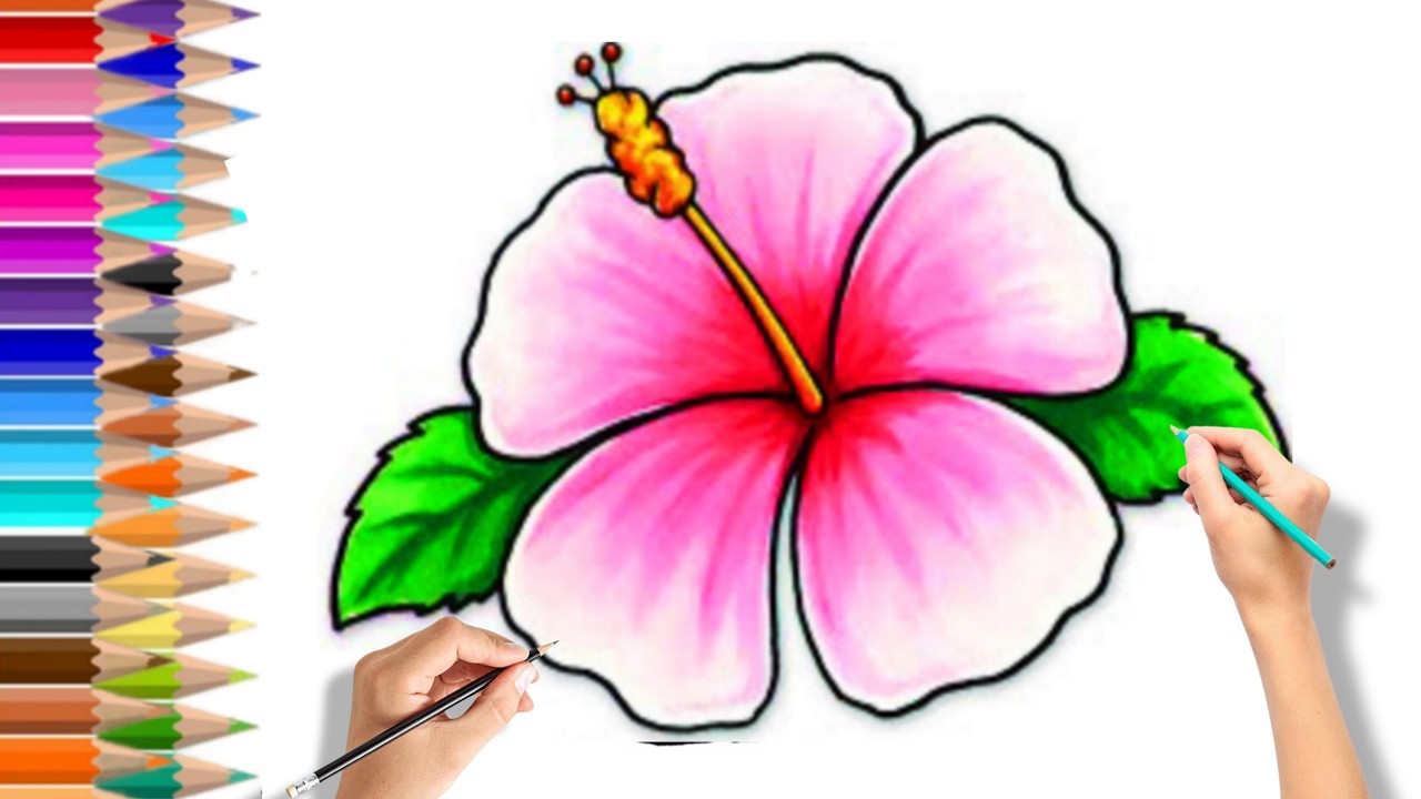 Easy Flower Drawing | Flower Drawing Tutorial Easy - YouTube