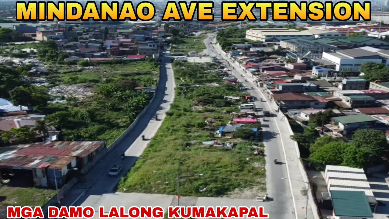 MGA DAMO LALONG KUMAKAPAL/MINDANAO AVE EXTENSION GENERAL LUIS ST ...